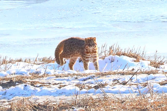 철원군 동송읍 이길리 가족들과의 신년회 : 네이버 블로그