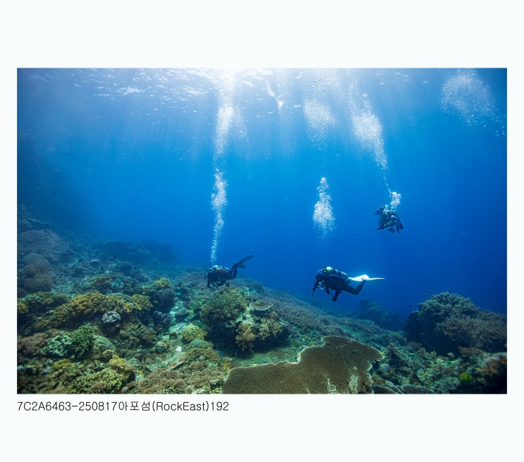 🌊 Dive Log #192 – Dumaguete – APO (Rock East) : 네이버 블로그