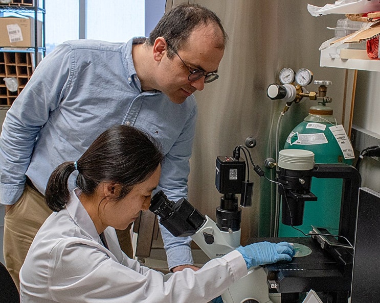 인간이 조상이 비타민 C 합성 능력 잃은 것은 이 기생충 때문? : 네이버 블로그