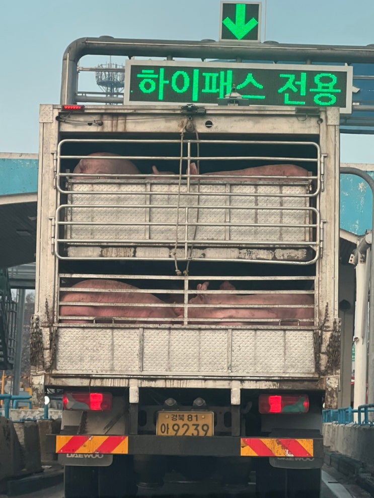 [25.11-4] 일상 : 네이버 블로그