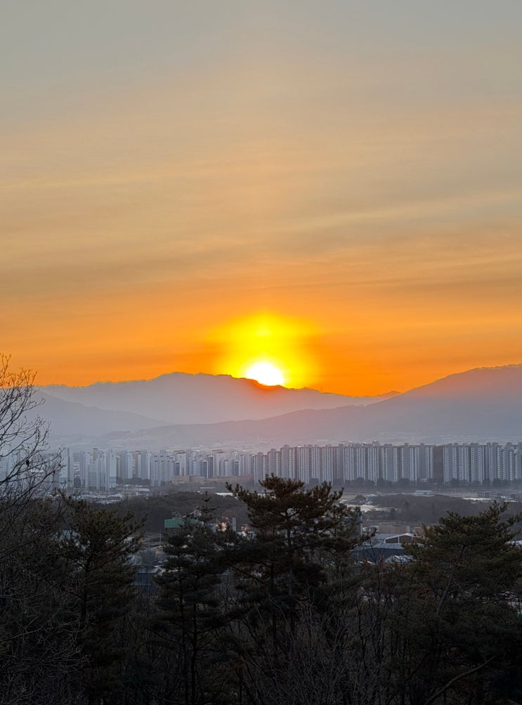 Dry January : 네이버 블로그
