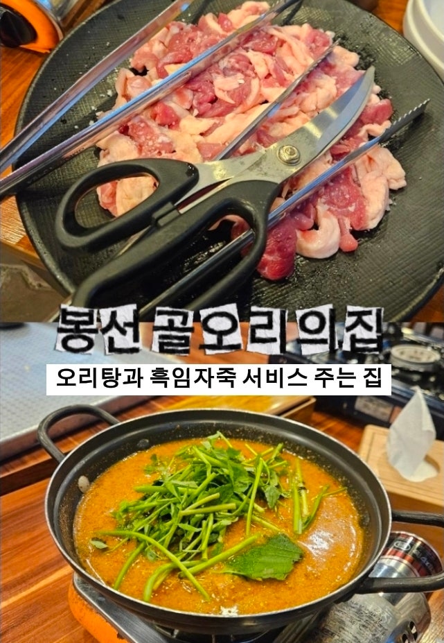 광주 봉선동 가족 단체 모임 오리구이 오리탕 : 네이버 블로그
