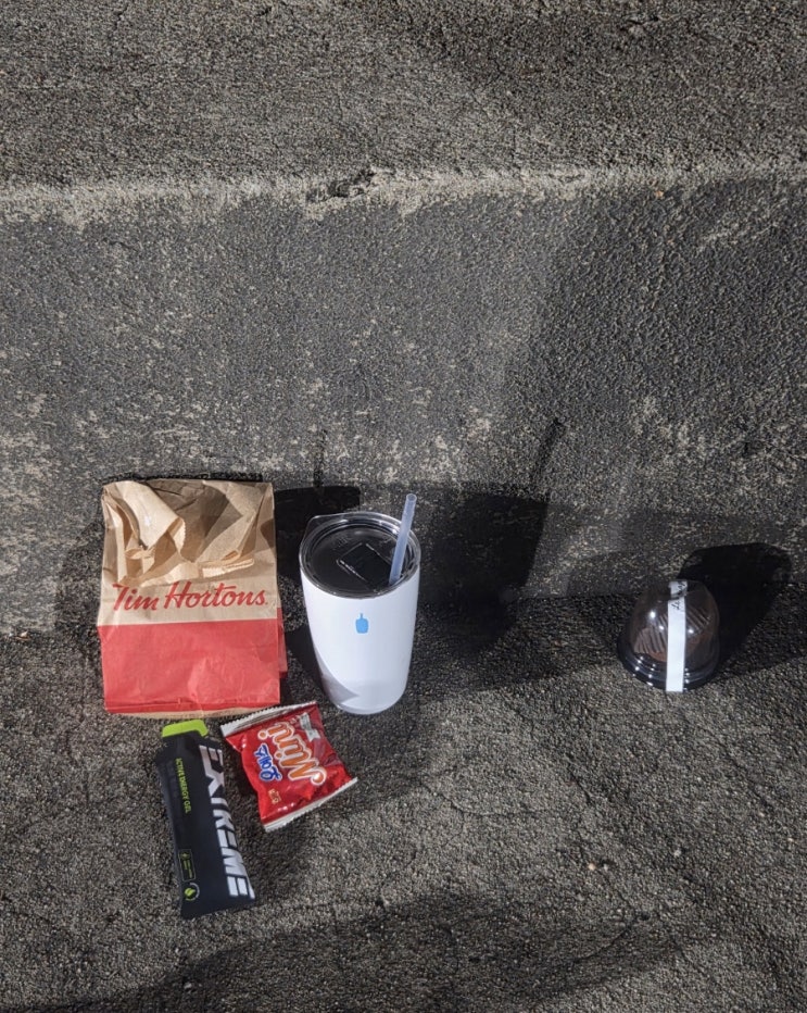 트랙과 친해지기 프로젝트 1일차(?)_대치유수지 복수런🤣 : 네이버 블로그