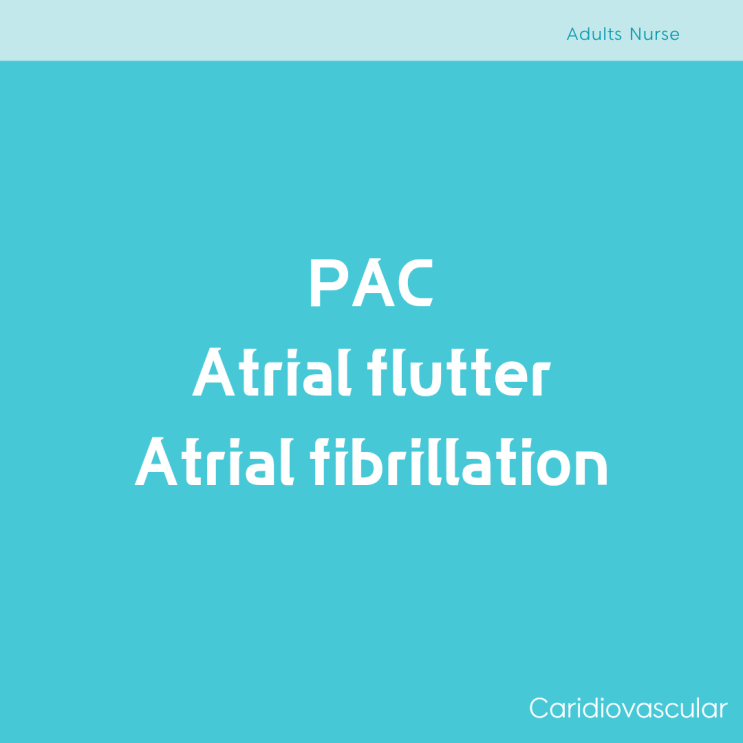 [EKG부정맥②] PAC, Atrial flutter, Atrial fibrillation 심방조기수축, 심방조동, 심방세동 ...