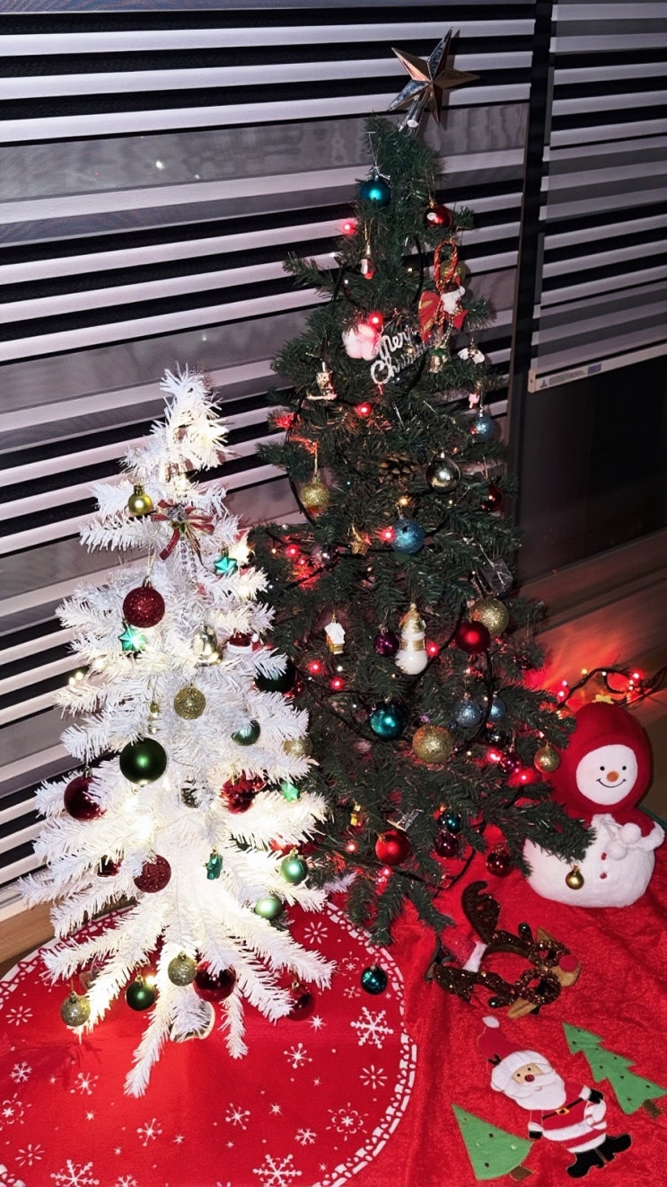 나벌써스무살인데게을러서아직열아홉일기 : 네이버 블로그