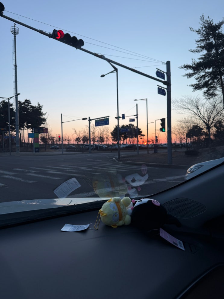 첼로그 : {신년맞이 +6kg 증량에 대한 합리적 고찰} : 네이버 블로그