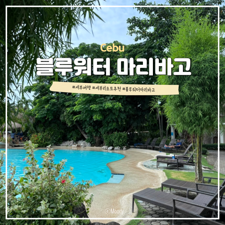 세부 가성비 좋은 호텔 추천 블루워터 마리바고 비치 리조트 후기 : 네이버 블로그