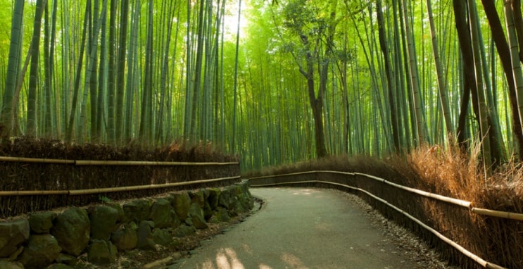 교토 상세 여행 일정 추천(3박 4일 코스) : 네이버 블로그