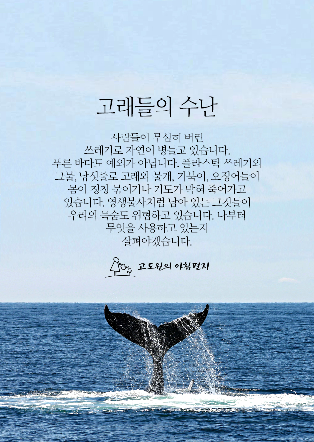 고래들의 수난 : 네이버 블로그