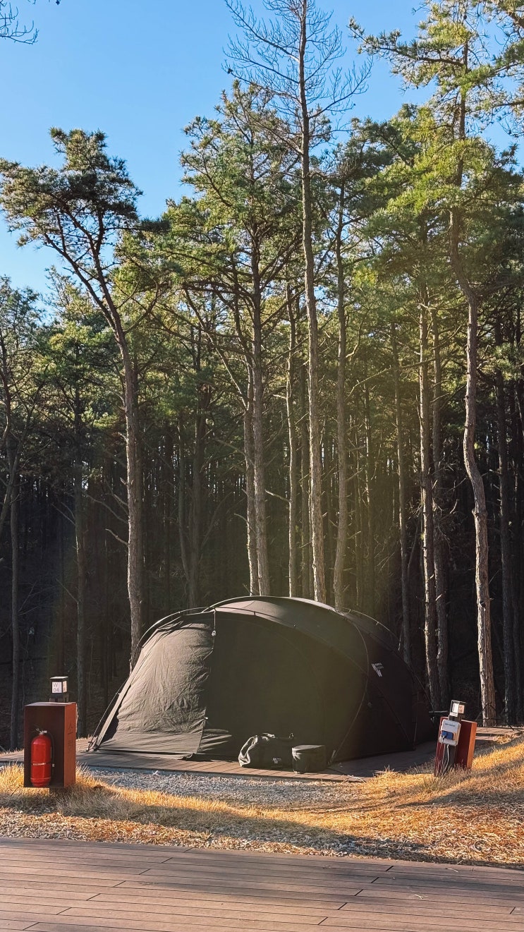 인천 캠프노마드_겨울 핀란드 사우나 무료 캠핑장 : 네이버 블로그