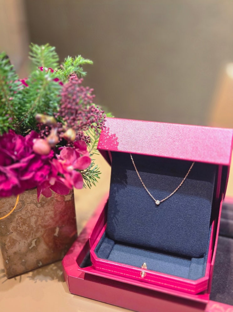 까르띠에 다무르 목걸이 로즈골드 스몰 구매 후기 | 문신템, 착붙템🤍 명품 액세서리 입문템 | 판교현백 상품권 구매 : 네이버 블로그