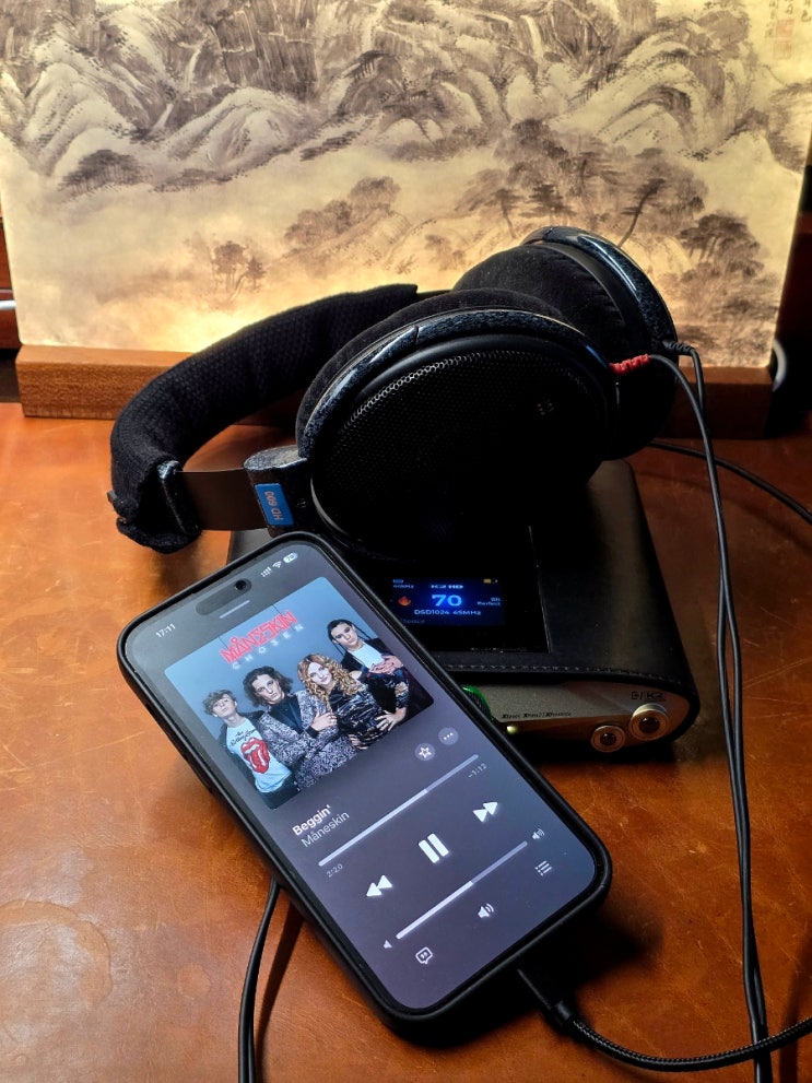 오디오 케이블 | Fiio LT-TC4 LT-LT4 라이트닝 to USB-C DAC 케이블, (& USB C TO C 카나레 ...