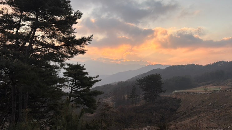 26년의 시작을 붓다선원에서 : 네이버 블로그