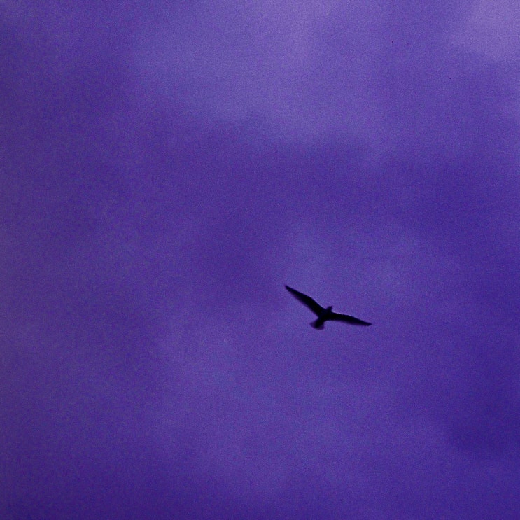 #2080 Bialystocks - 言伝 : 네이버 블로그