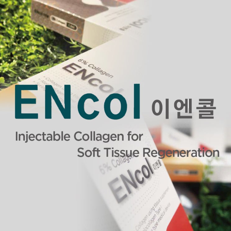 ENcol 이엔콜 : 네이버 블로그