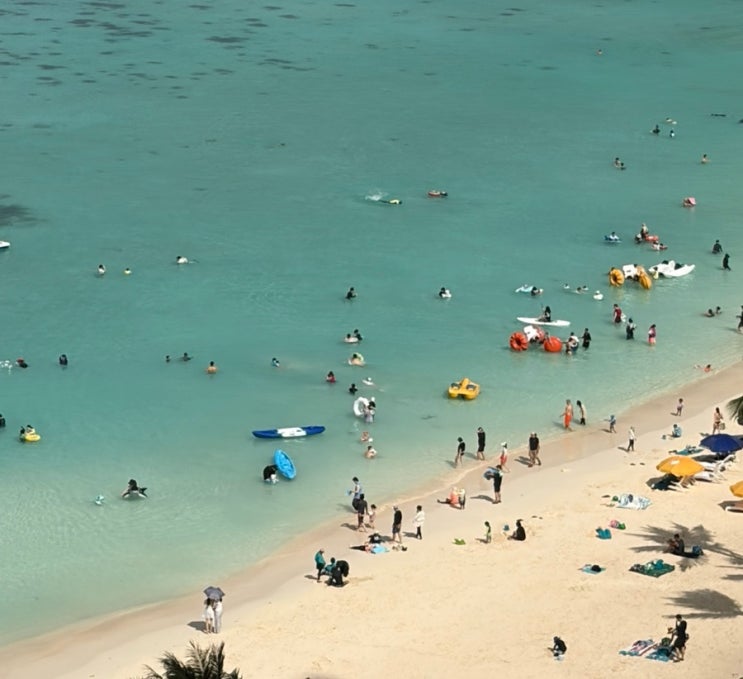 G u a m 🌴:: 크리스마스 낭만찾기 | 2025마지막 풀출근주 | 굴 또 먹 🦪 | 서른 케이크 🍰 : 네이버 블로그