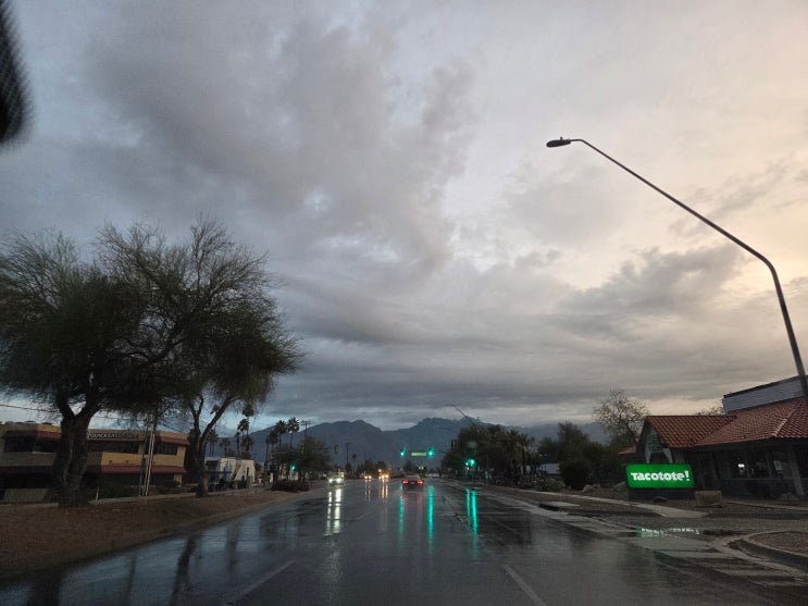 [애리조나] 투싼 여행 | Mt Lemmon, 크리스마스 : 네이버 블로그