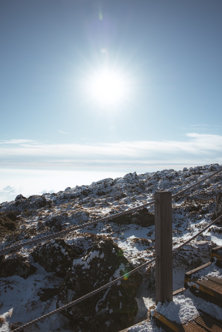 251228~251231 연말 제주도 여행기 : 네이버 블로그