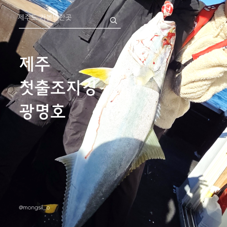 광명호 제주 지깅낚시 첫 조행기 ㅣ 부시리,줄삼치 터진날 : 네이버 블로그
