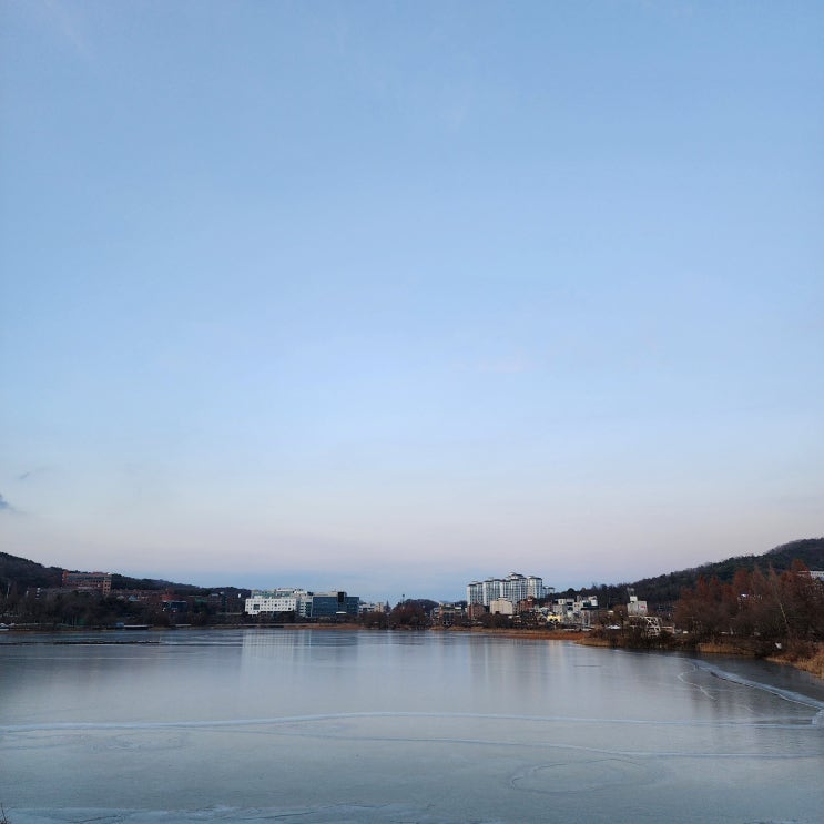 진정한 자유인 : 네이버 블로그