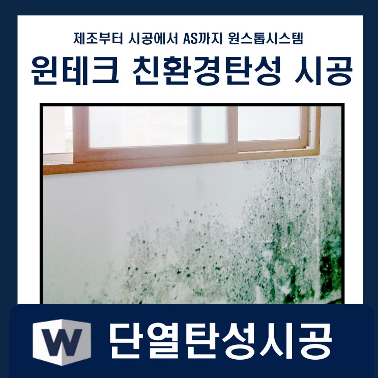 아파트 주택 구옥 구축 입주시 베란다 결로곰팡이 제거 겨울철 습도 윈테크로 해결 : 네이버 블로그