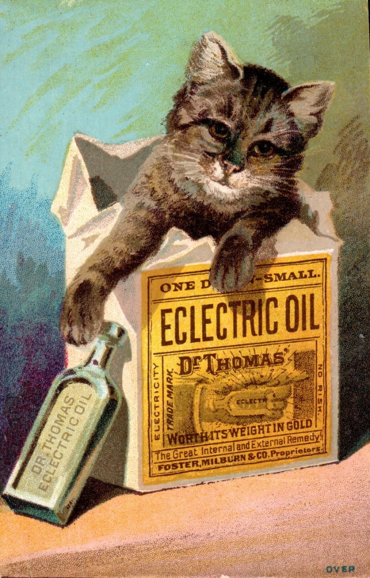 1880~90 - 닥터 토마스 에클렉트릭 오일(Dr. Thomas' Eclectric Oil) : 네이버 블로그