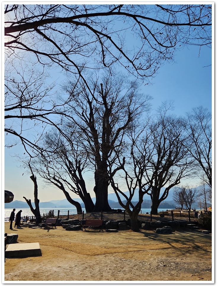 ♤두물머리 겨울 - : 네이버 블로그