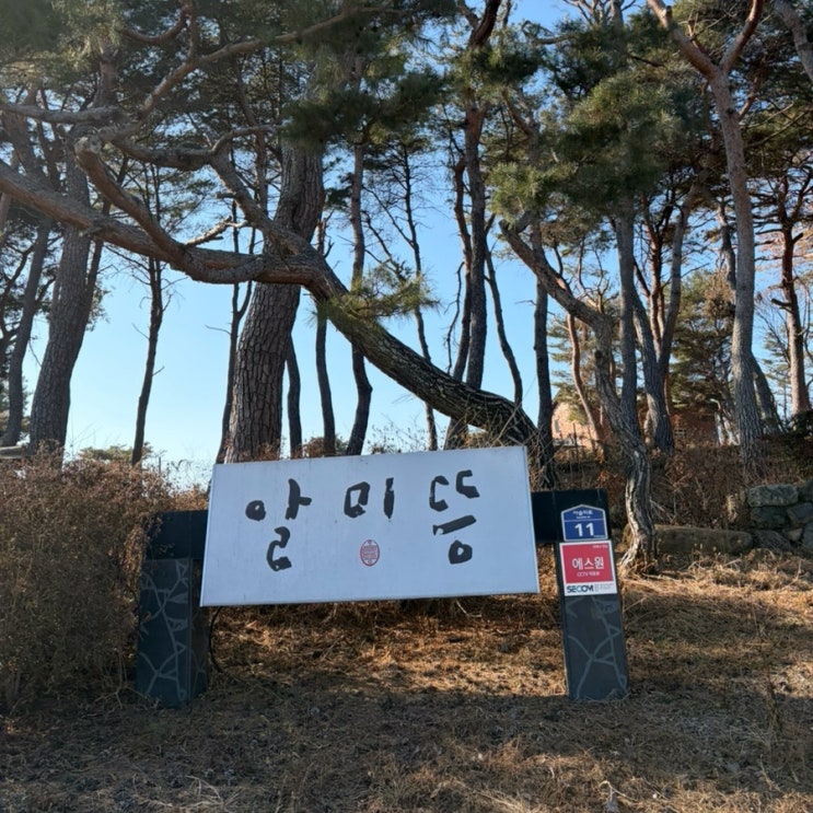 [청도] 대구 근교 청도 찜질방, 알미뜽 주말방문 후기 : 네이버 블로그