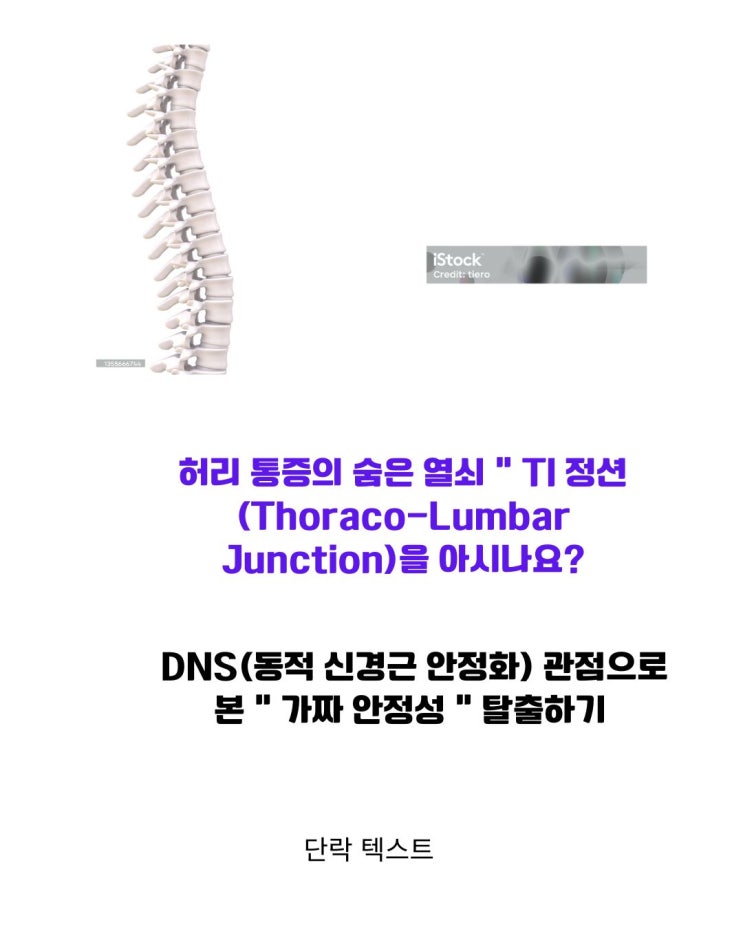 [DNS 운동] 코어 안정성의 스위치, TL 정션(Thoraco - Lumbar Junction) 알아보기 : 네이버 블로그