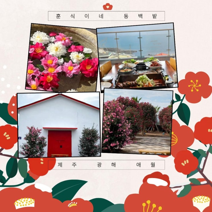 훈식이네 동백밭 제주 동백꽃 명소 포토스팟 겨울여행지 추천 : 네이버 블로그