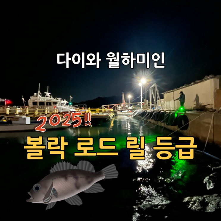다이와 월하미인 볼락 로드·릴 등급 정리 : 네이버 블로그