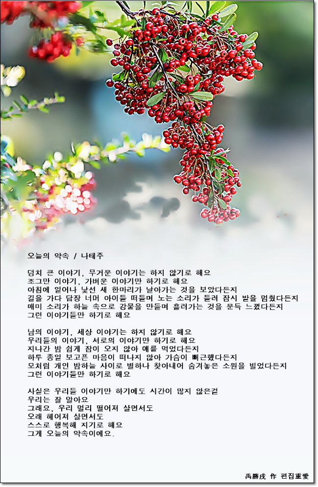 오늘의 약속 / 나태주 : 네이버 블로그