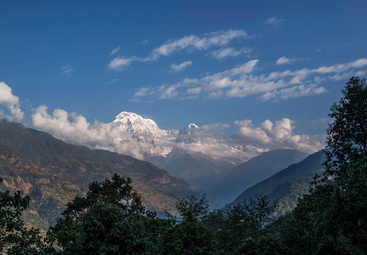 히말라야 뷰 포인트 트레킹 2일차 - 담푸스 트레킹 : 네이버 블로그