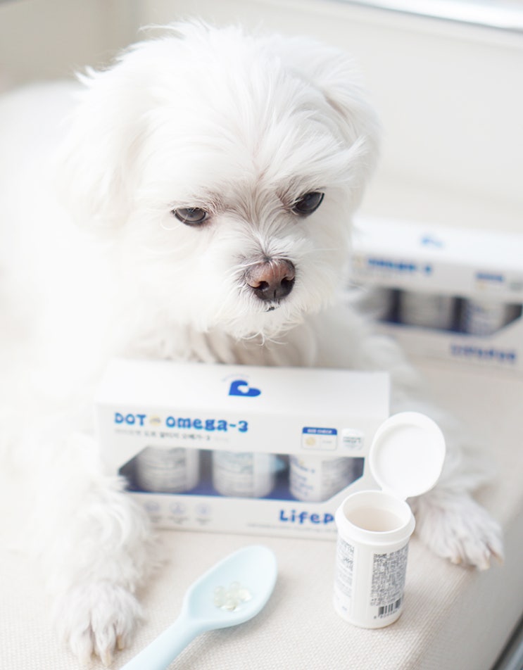 강아지 오메가3 피부 변화 초소형 50mg 후기 : 네이버 블로그