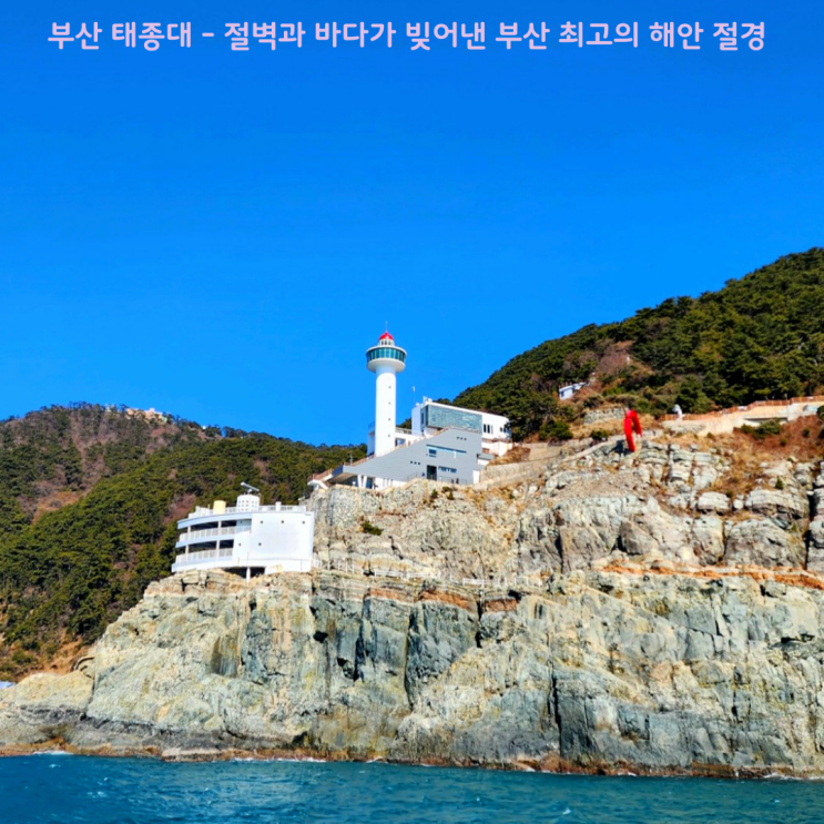🌊 부산 태종대 - 절벽과 바다가 빚어낸 부산 최고의 해안 절경 : 네이버 블로그