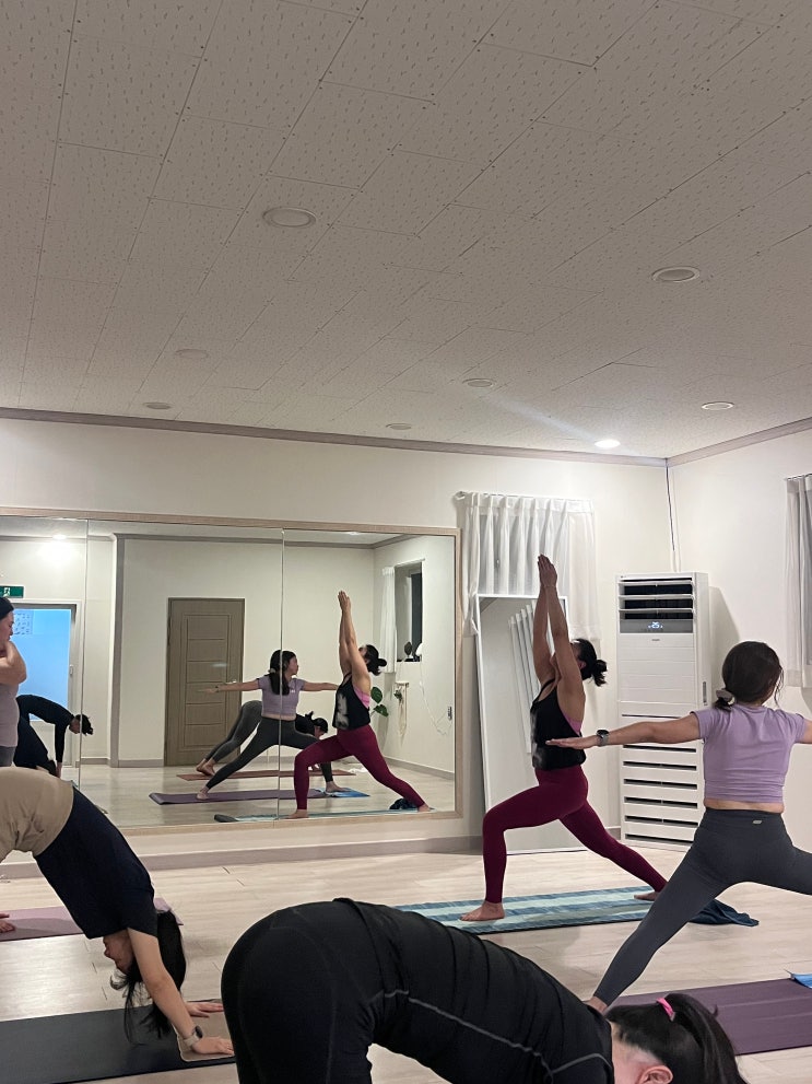 진주수정요가 아쉬탕가 마이솔 수련 (오후 화, 수 / 오전 금) : 네이버 블로그