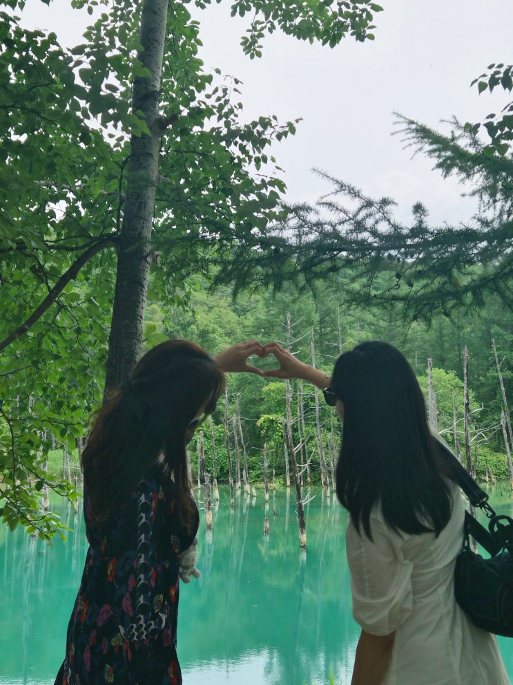 [일본/삿포로/여행] 7. 클룩 비에이+후라노 1일 버스 투어_1탄 : 네이버 블로그