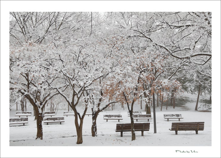 기다림의 시 - 김형수 : 네이버 블로그