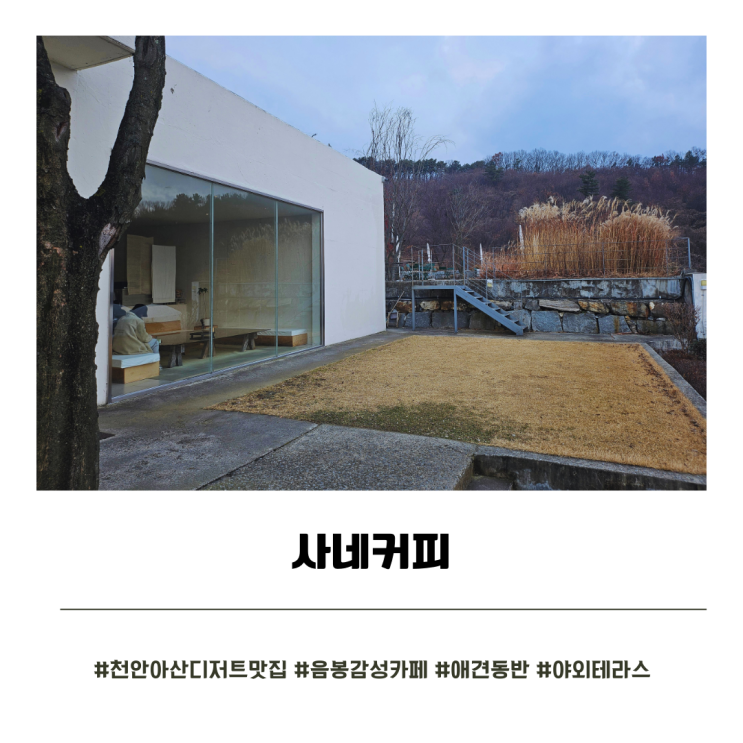 천안 아산 감성카페 사네｜통창 뷰·테라스가 예쁜 아기랑 애견동반 가볼만한곳 : 네이버 블로그