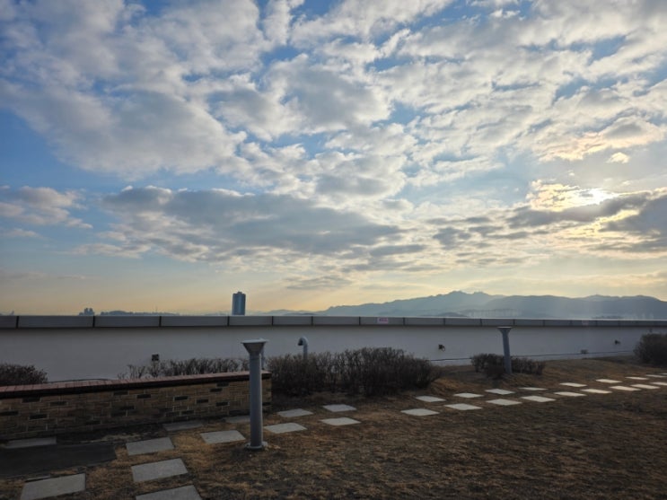 [#5] Starting Daily Life Again : 네이버 블로그