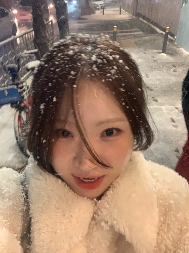 연말결산 Dec. : 네이버 블로그