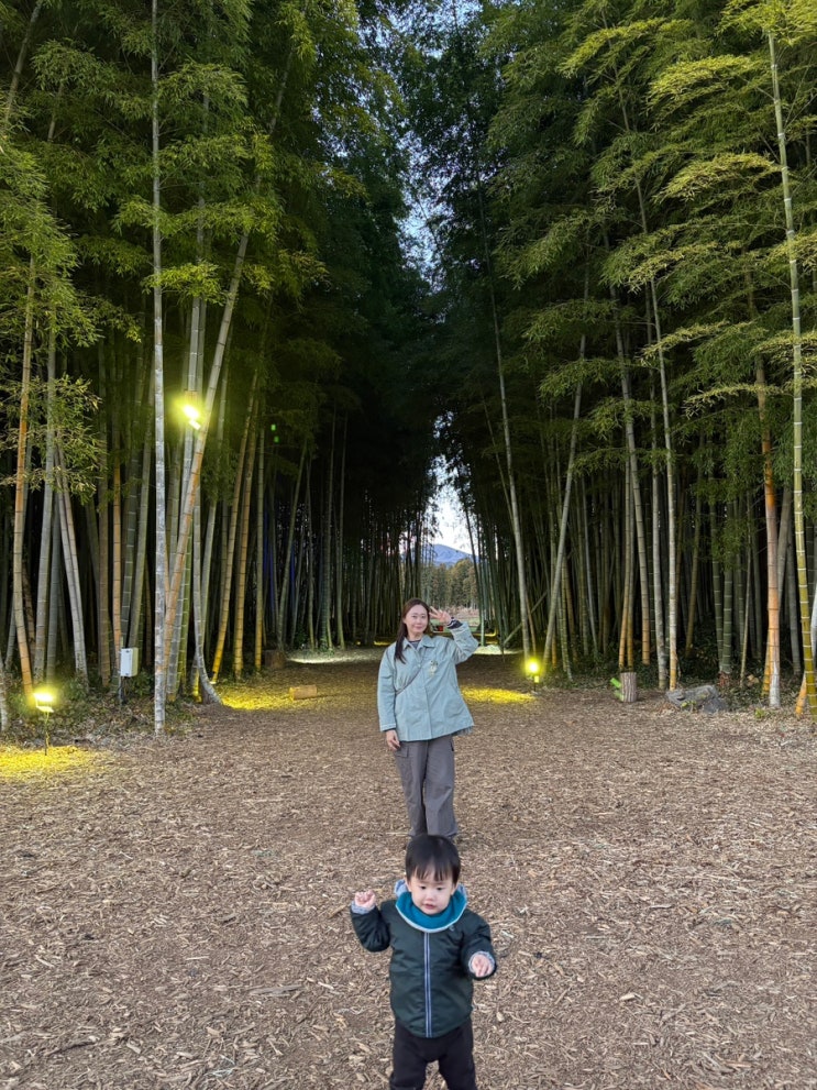 [제주8/12일여행] 서귀포 치유의 숲, 삼보식당, 나눔목장, 서귀포 올레야시장 / 19개월 아기랑-* : 네이버 블로그