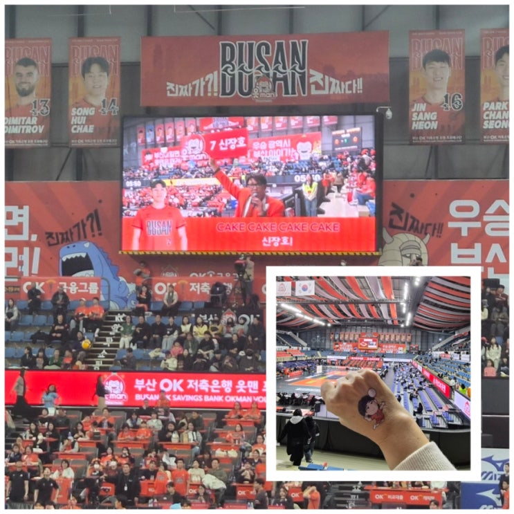 처음 가본 「남자배구 경기」 직관 후기 : 네이버 블로그