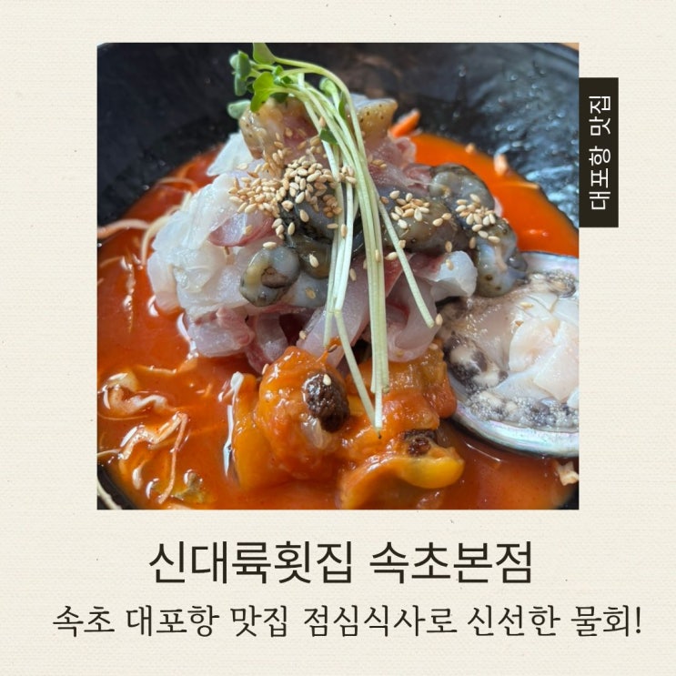 속초 대포항 맛집 점심식사로 딱, 물회 맛에 감동한 신대륙횟집 속초본점 : 네이버 블로그