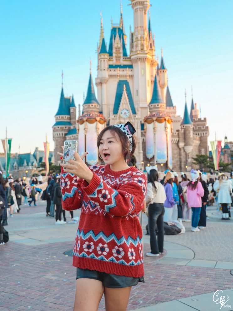 도쿄 디즈니랜드 디즈니씨 가는법 입장권 일본 도쿄여행 코스 : 네이버 블로그