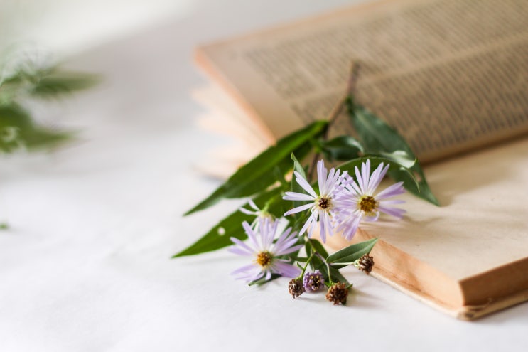 야베스의 기도 역대상 4장 9-10절 짧은 묵상 : 네이버 블로그