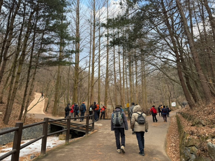 서울 초보자 등산 코스 추천｜청계산 1코스 윈터골 매봉 : 네이버 블로그