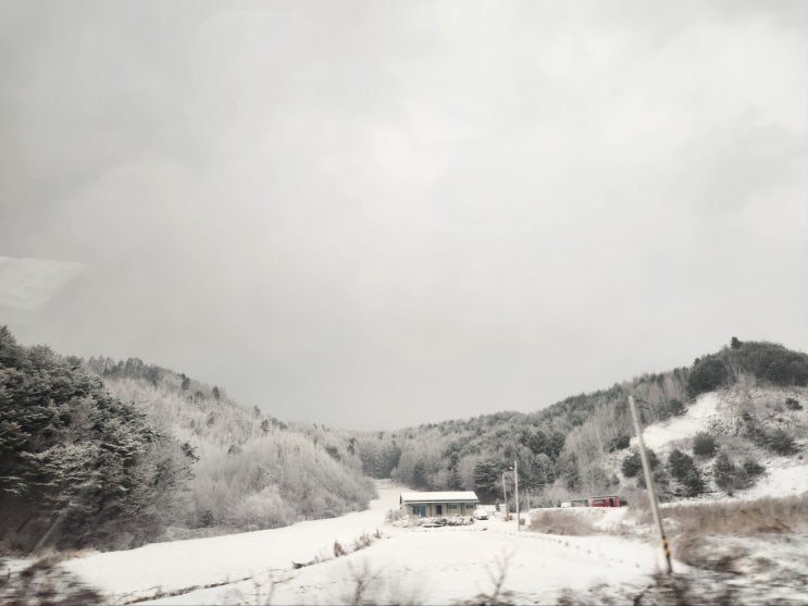 [햇살강릉] 눈 내리는 대관령을 넘어 경기도 하남으로 : 네이버 블로그