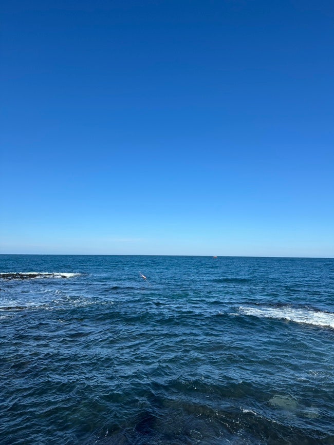 제주대 학점교류: 제주대생이 되다 : 네이버 블로그