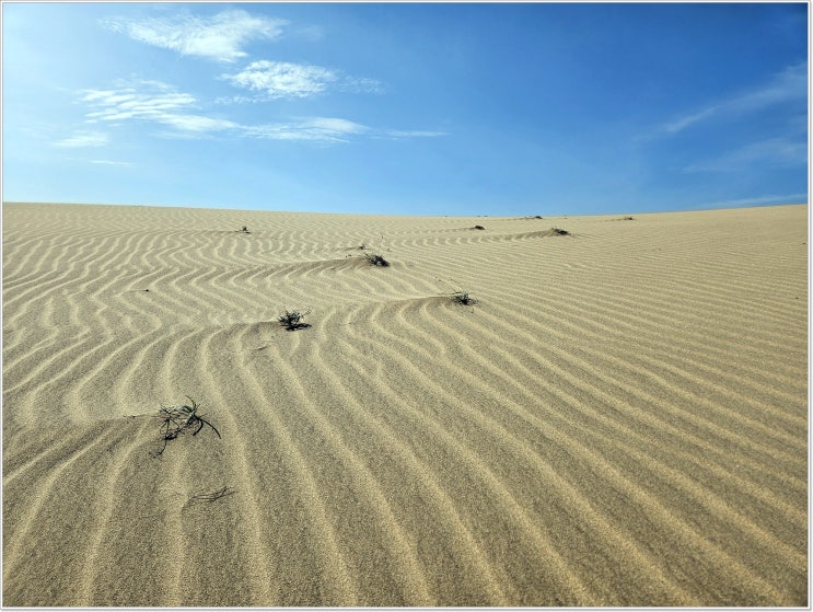 베트남 남부 오토바이 여행 : 판랑탑짬 모래언덕, 쿠토사찰 : 네이버 블로그